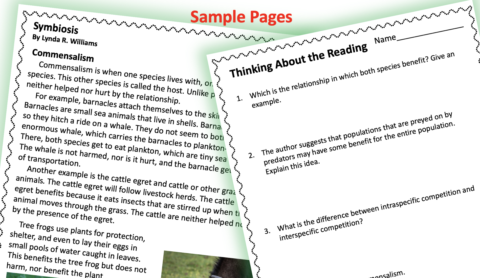 Symbiosis Reading Unit