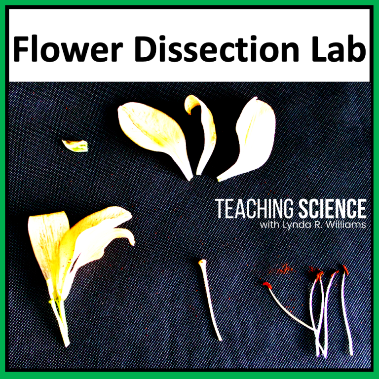 Flower Dissection Lab