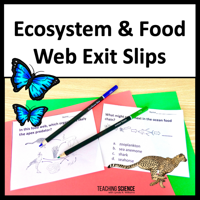 Ecosystems and Food Webs Science Exit Slips