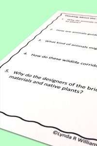 Build a Wildlife Bridge STEM Challenge