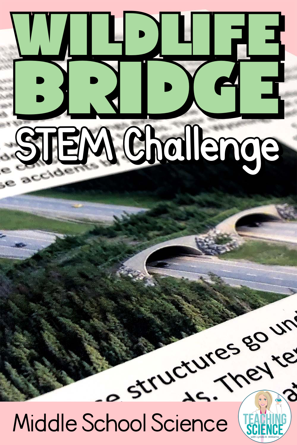 Build a Wildlife Bridge STEM Challenge