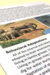 Reading Comprehension Unit on Elephants