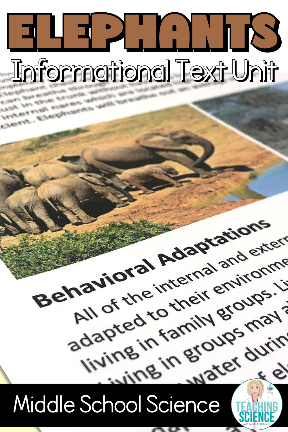 Reading Comprehension Unit on Elephants