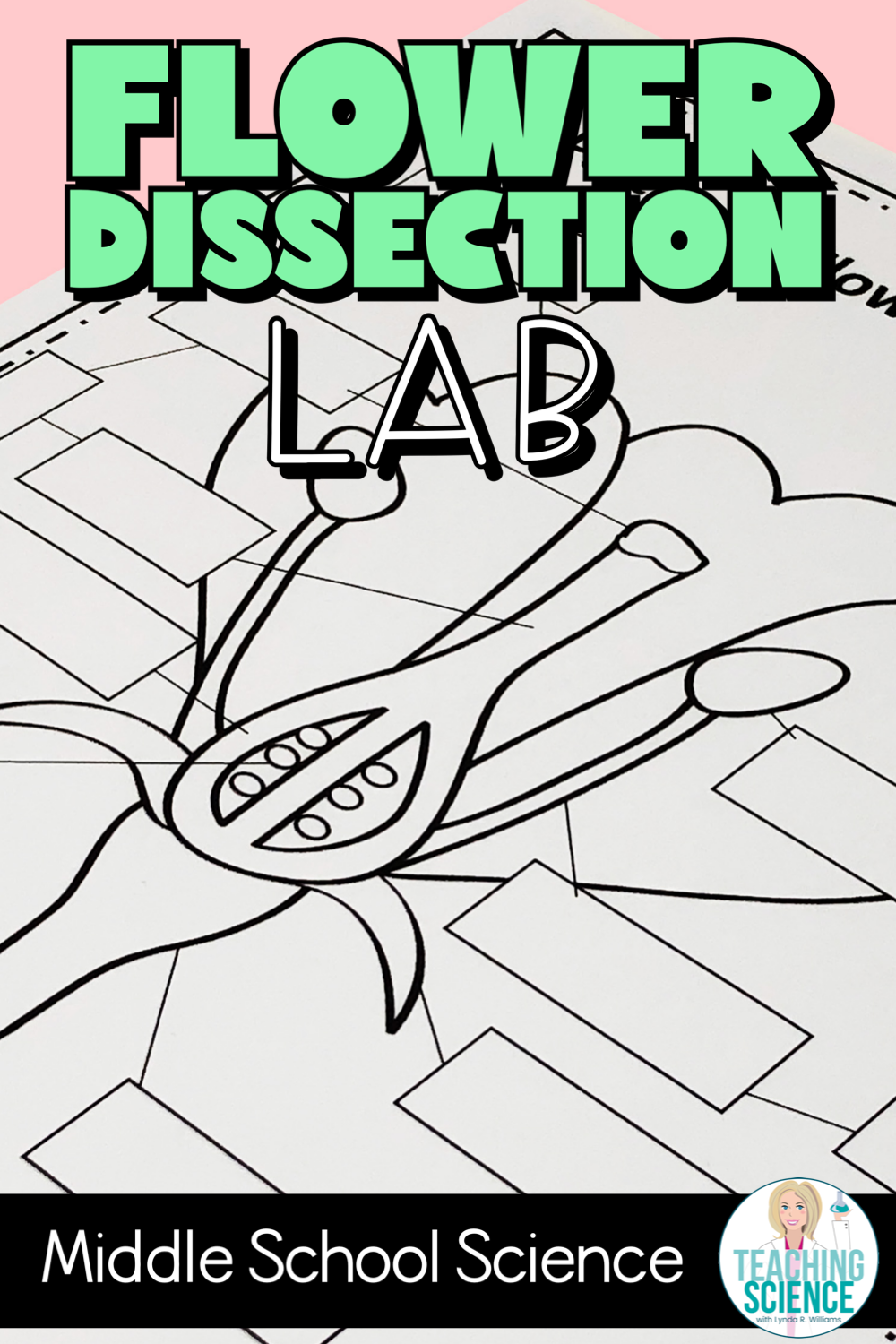 Parts of a Flower Dissection Lab