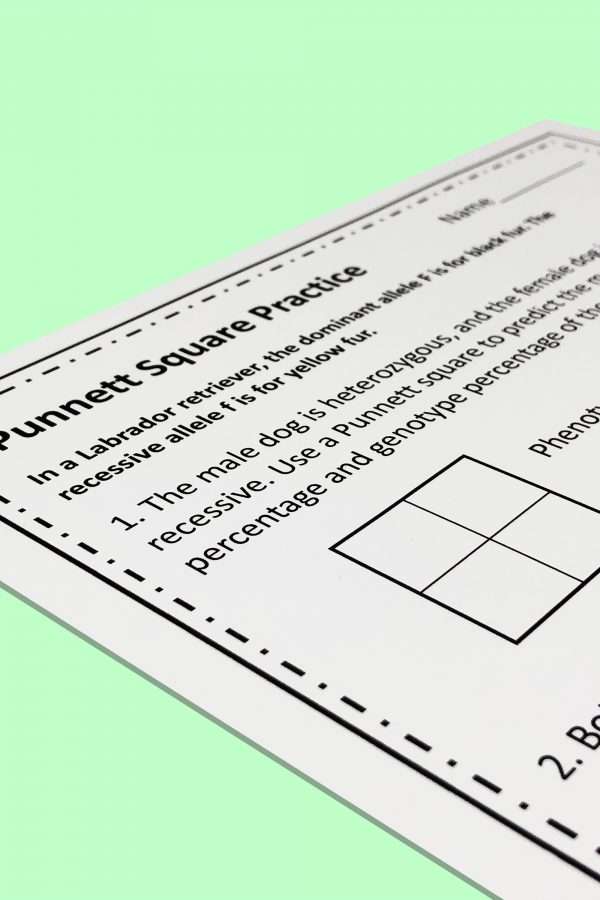 Heredity and Punnett Squares Activities for Middle School Science