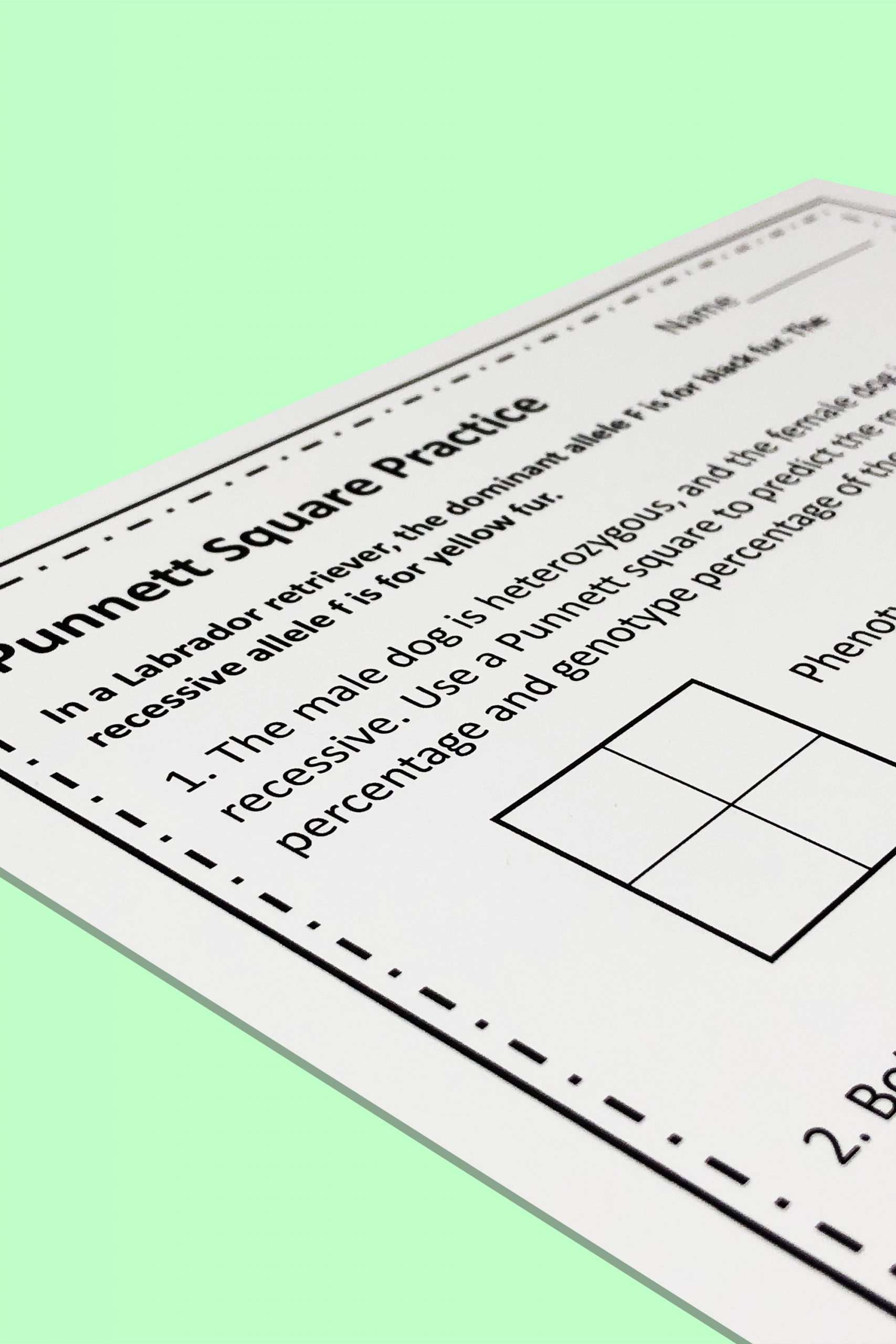 Heredity and Punnett Squares Activities for Middle School Science