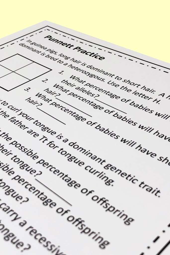 Heredity and Punnett Squares Activities for Middle School Science