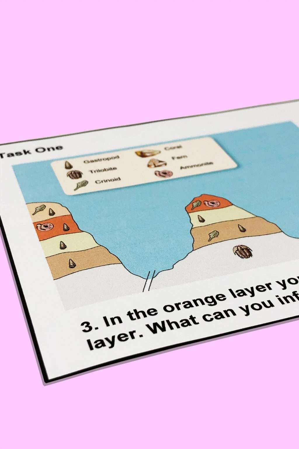 Fossil Record Task Cards