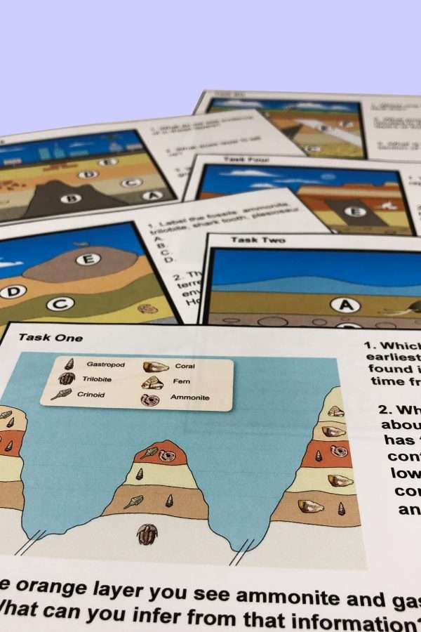 Fossil Record Task Cards