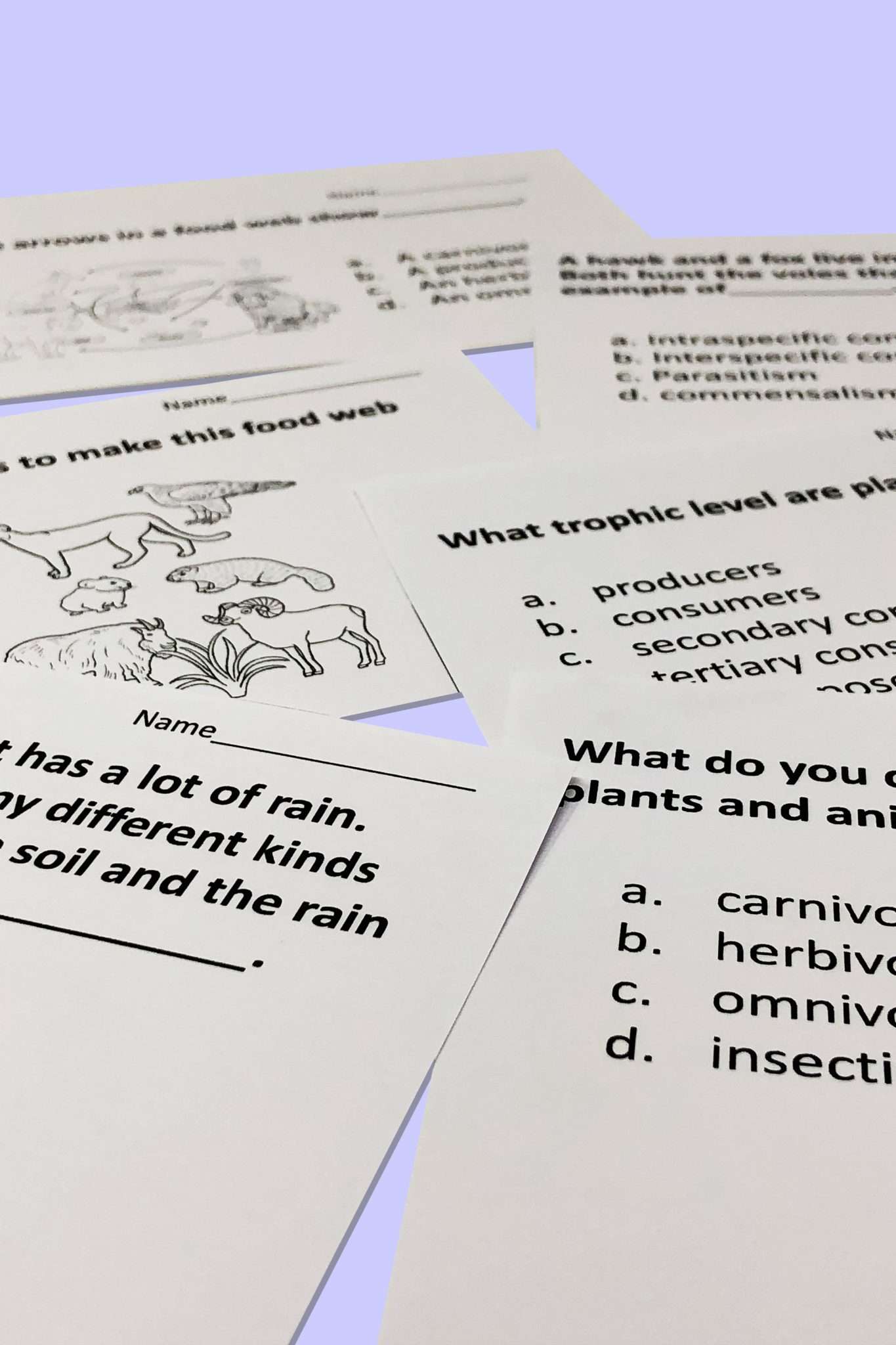 Ecosystems and Food Webs Exit Tickets