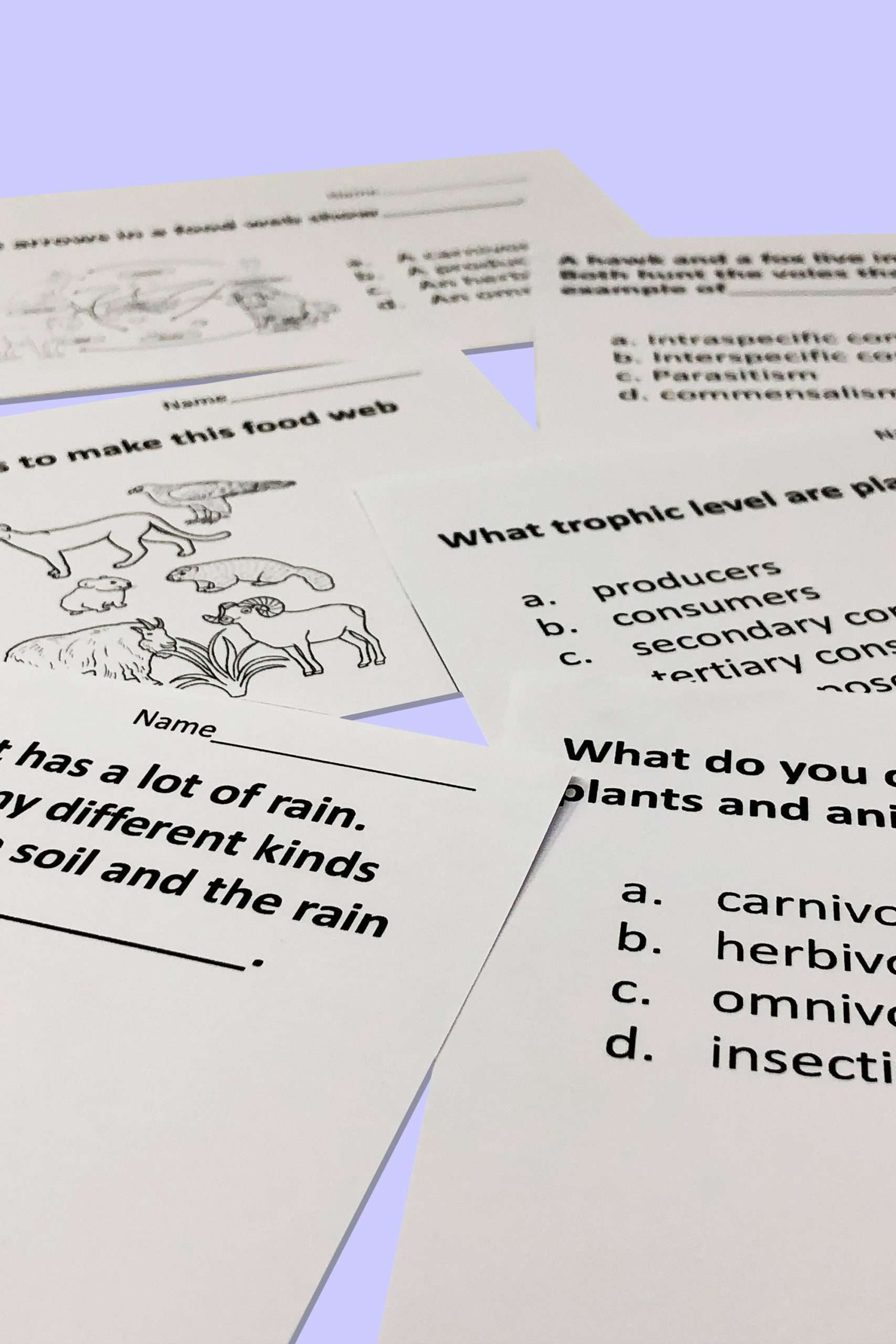 Ecosystems and Food Webs Exit Tickets