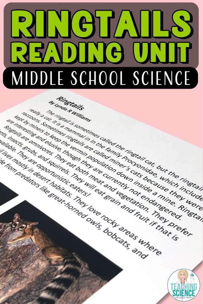 Reading Comprehension Unit on Ringtails