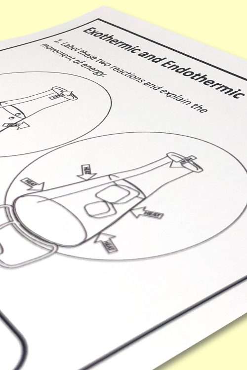 Exothermic Chemical Reaction Lab