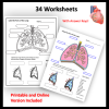 Human Body Systems Worksheets