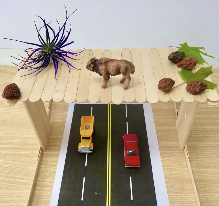 Five STEM Activities for Summer