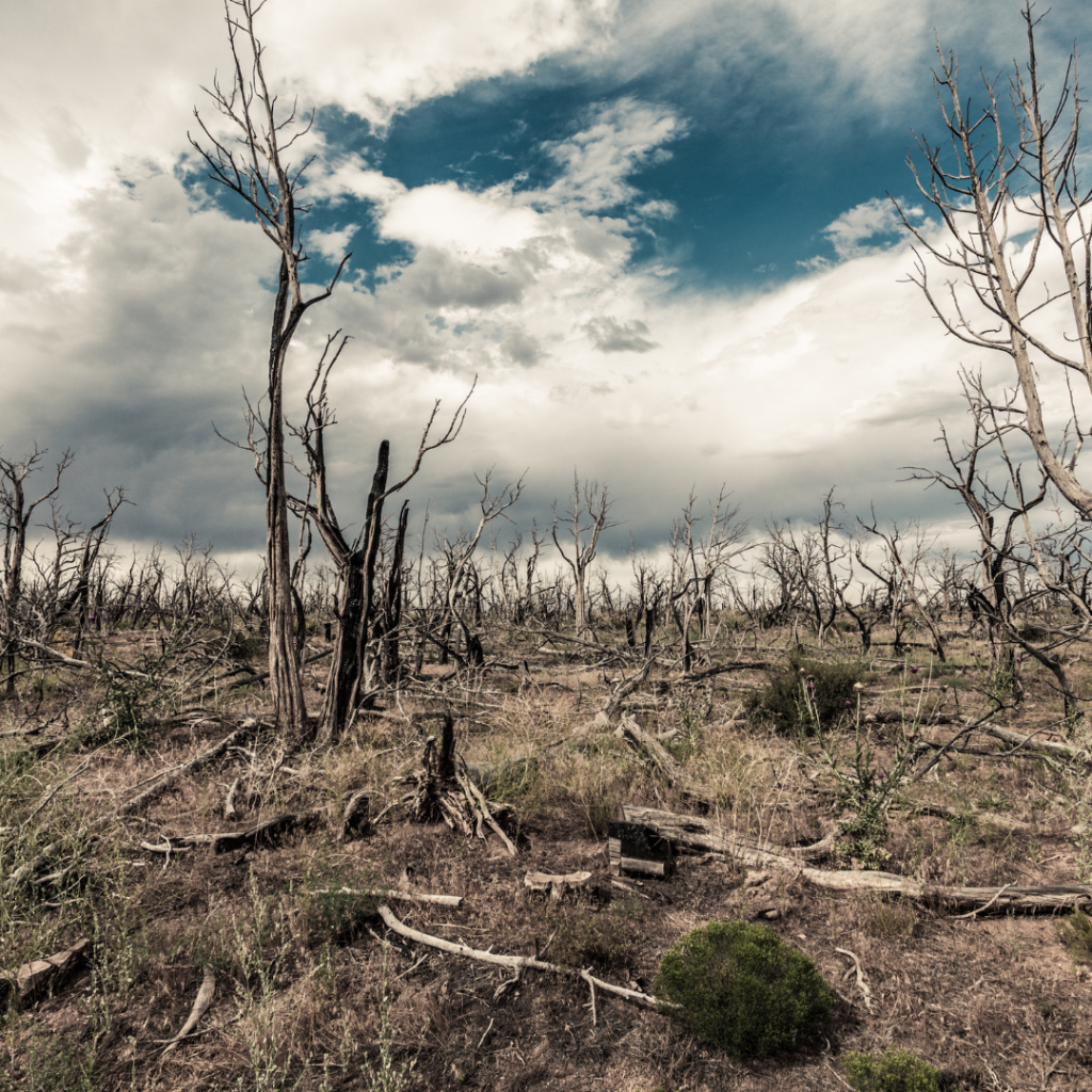 5th Grade NGSS Full Year Bundle