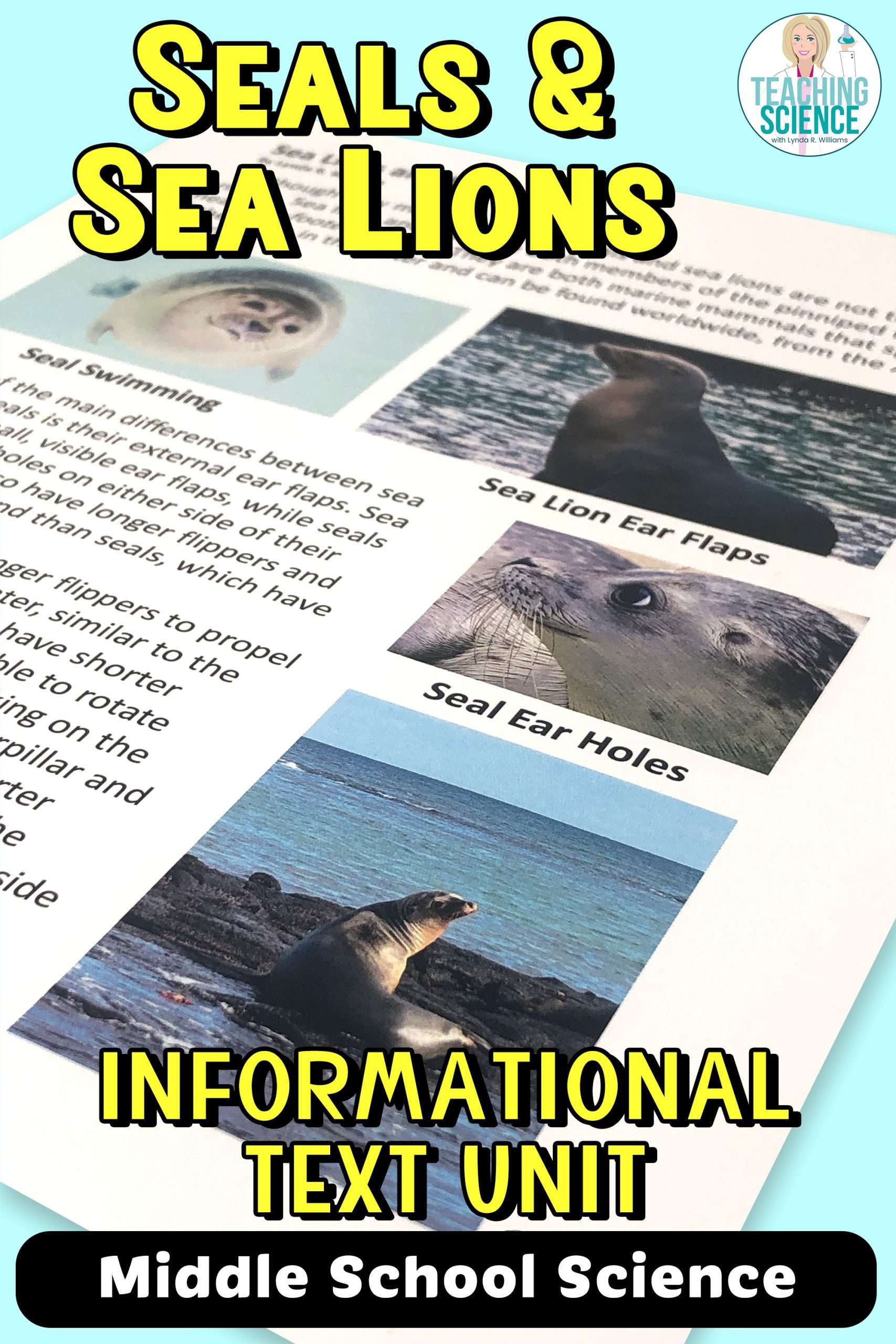 Seals and Sea Lions Informational Text Unit