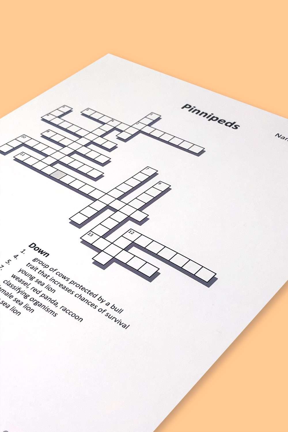 Seals and Sea Lions Informational Text Unit