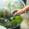 Life Science NGSS Middle School Bundle