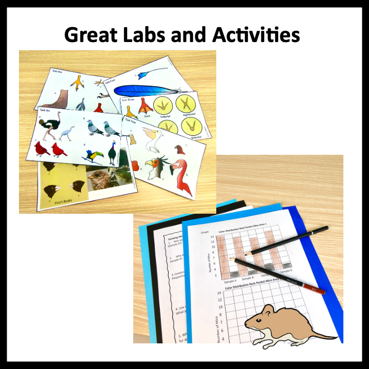 Life Science NGSS Middle School Bundle