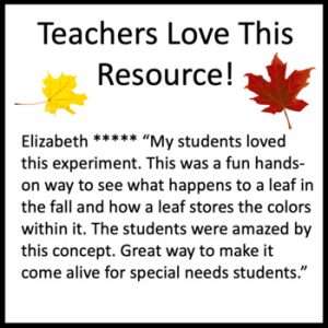 Why do Leaves Change Color in the Fall?