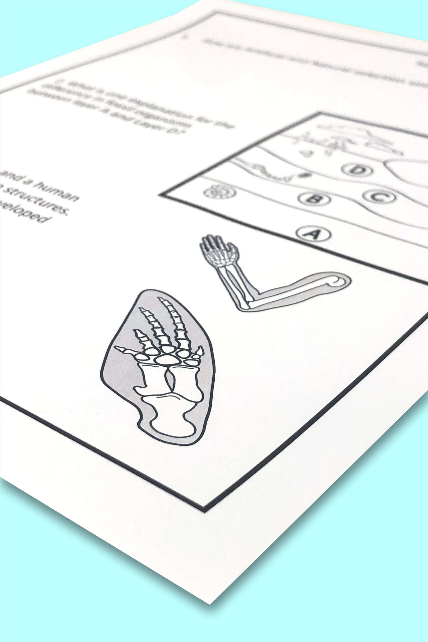 Arizona Science Assessments and Test Prep