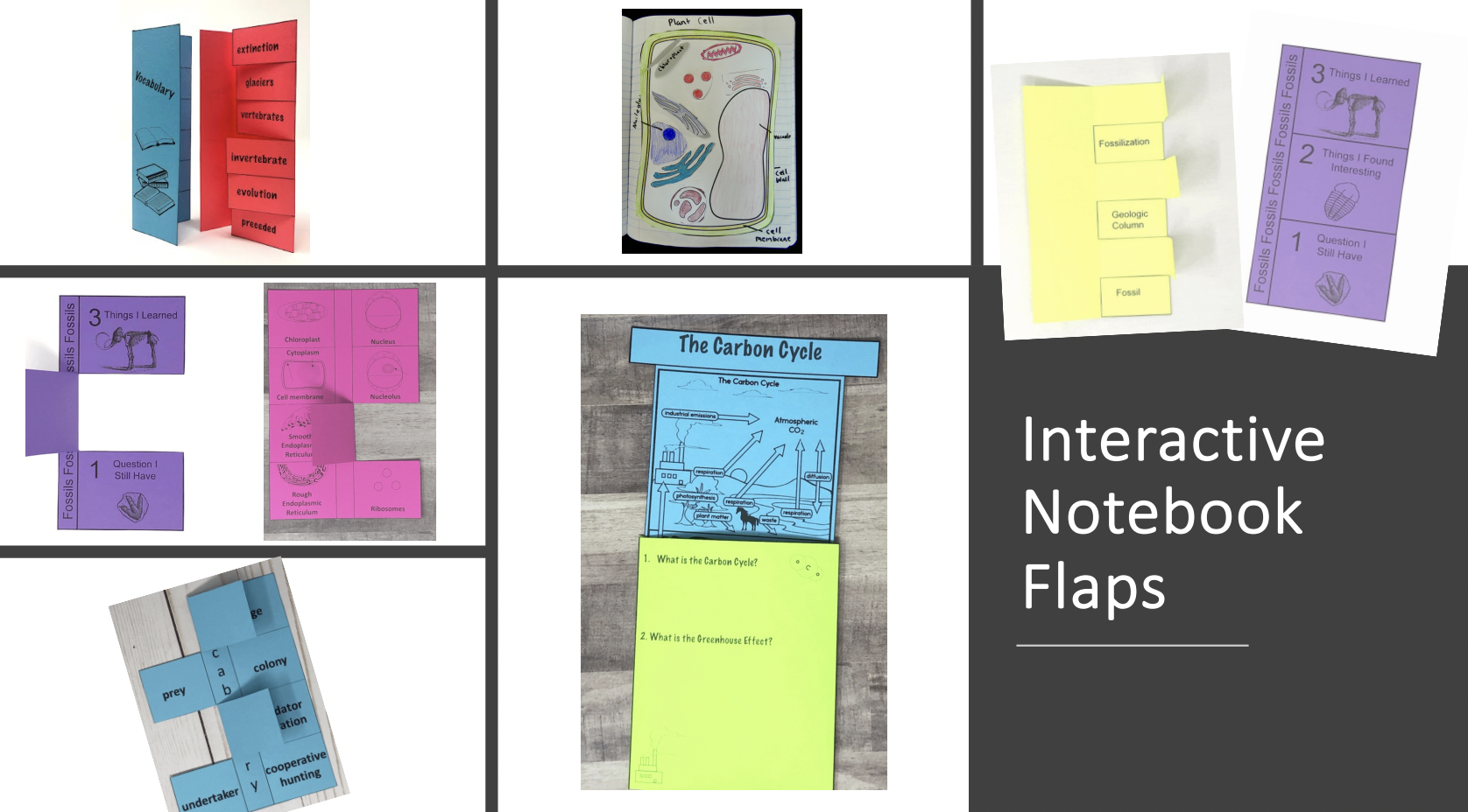 Life Science NGSS Middle School Bundle