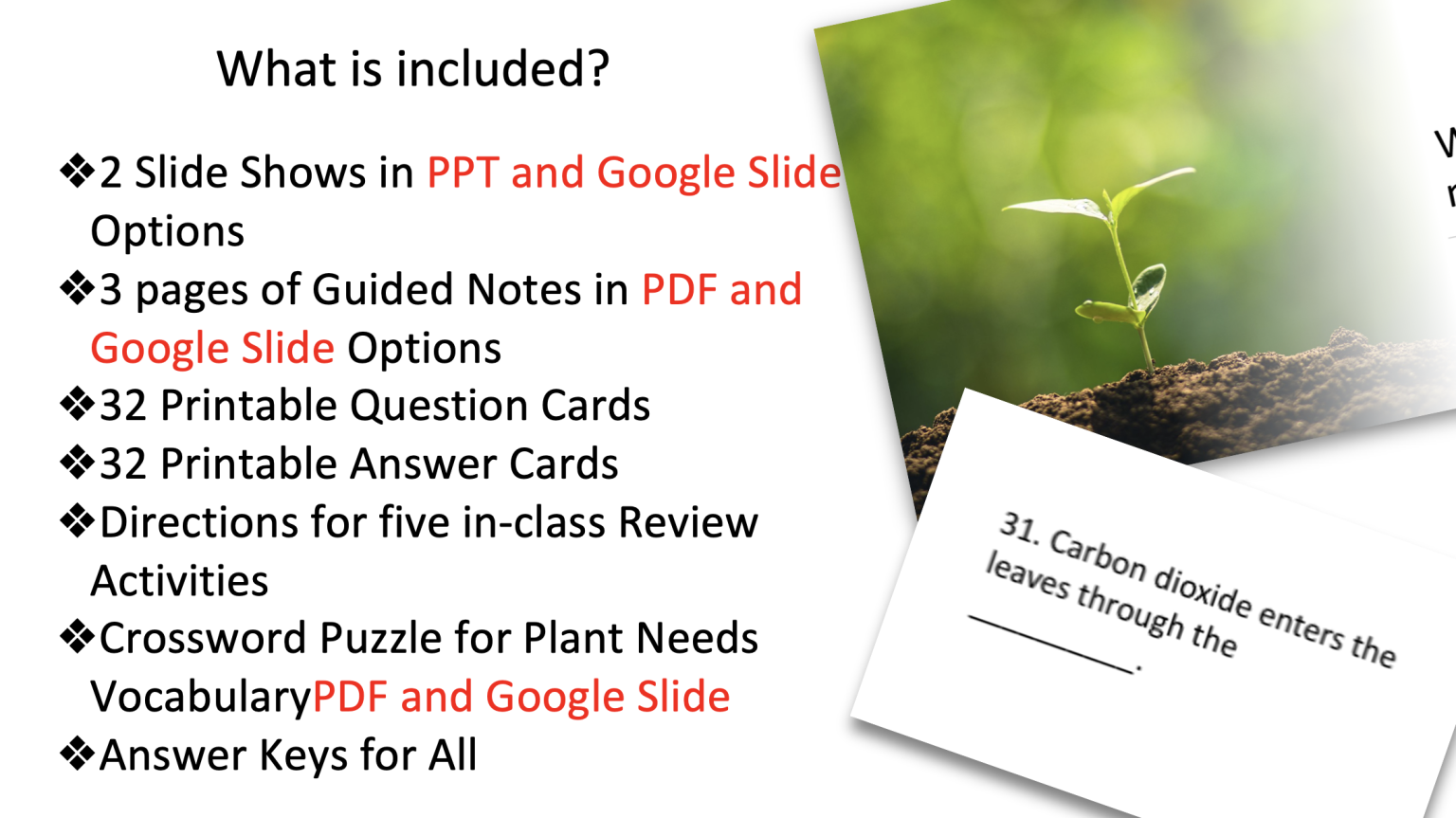 Plant Needs Guided Notes and Review