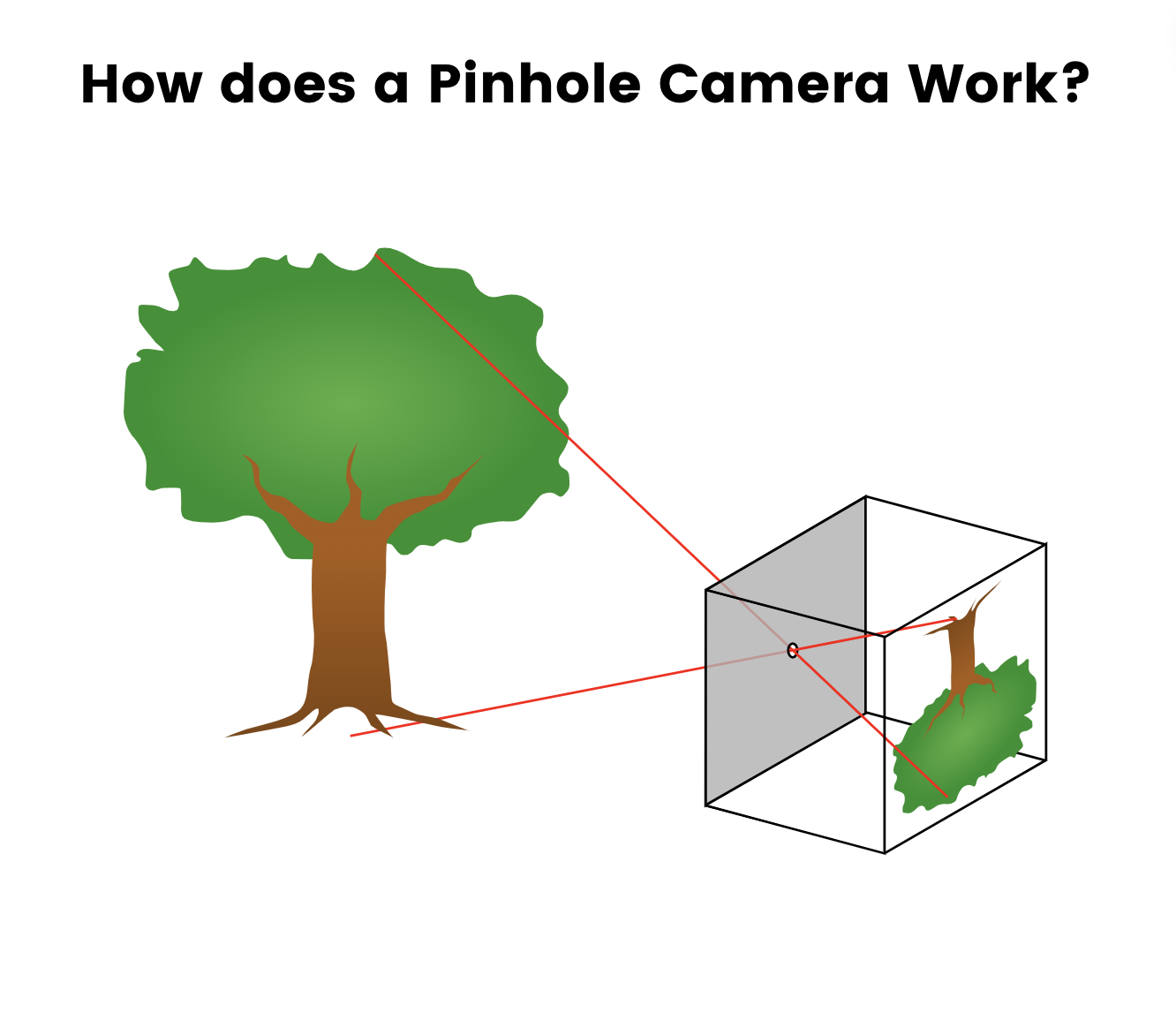 Make a Pinhole Projector to View The Solar Eclipse