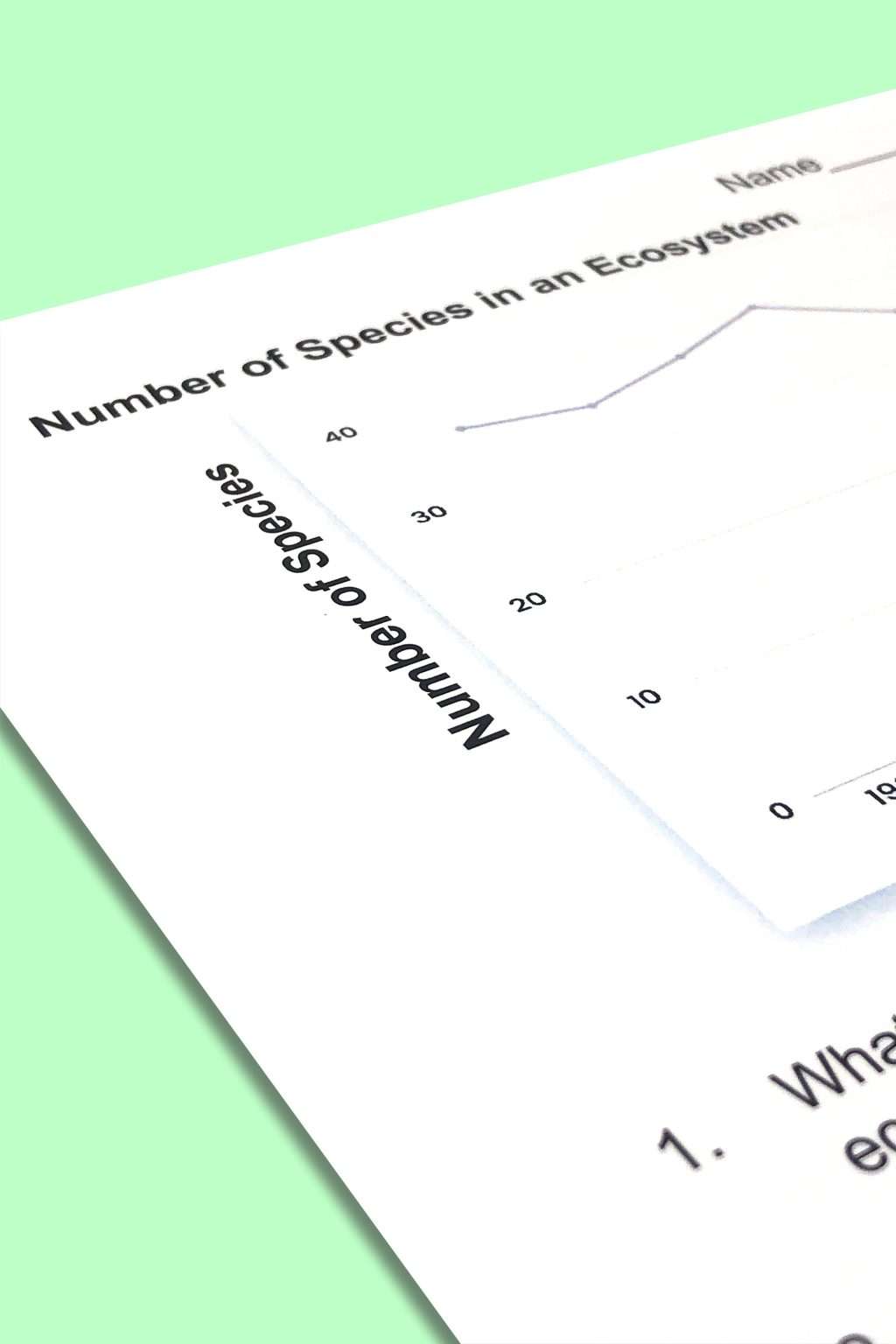 Analyzing Graphs and Data Analysis 5th Grade