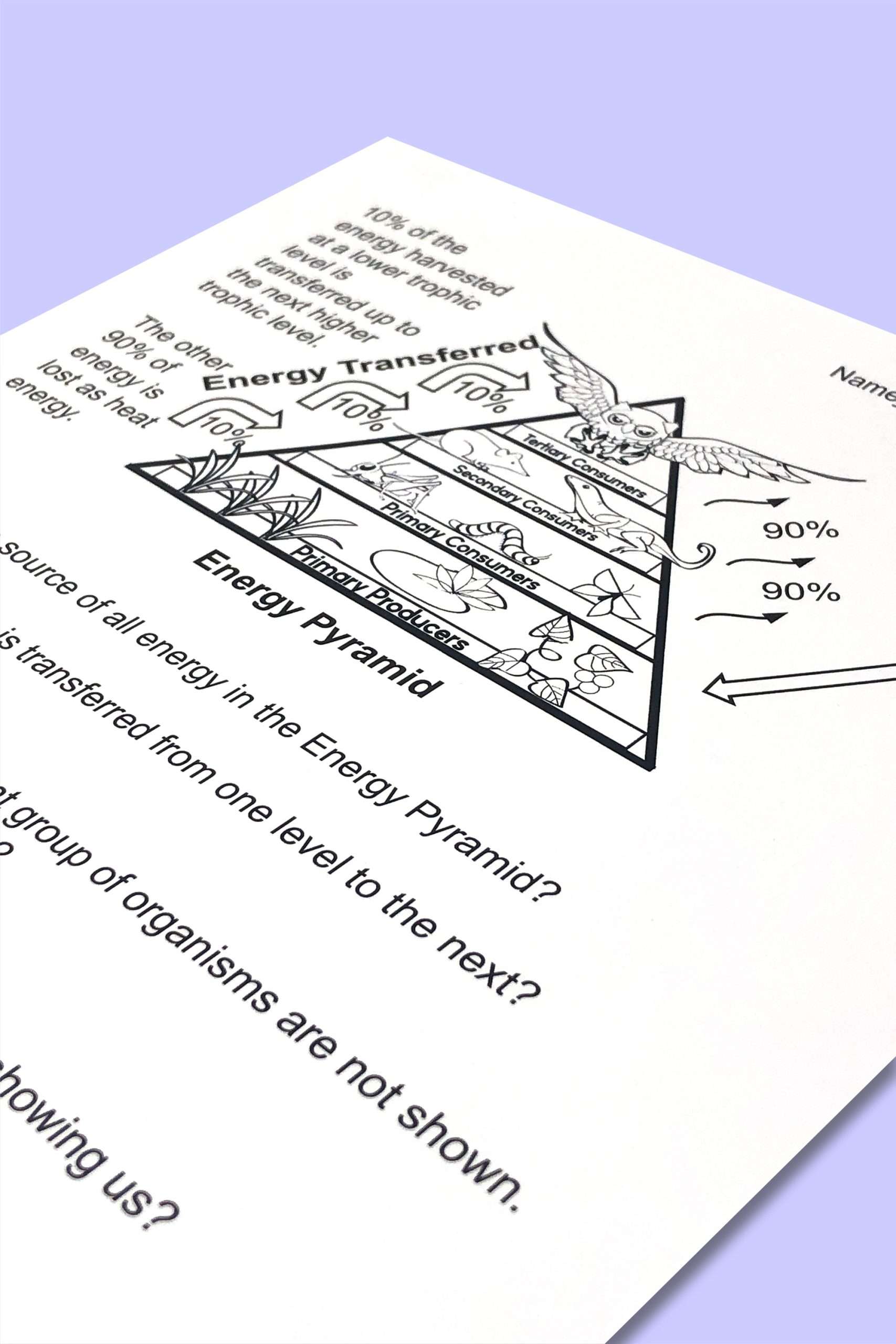 Analyzing Graphs and Data Analysis 5th Grade
