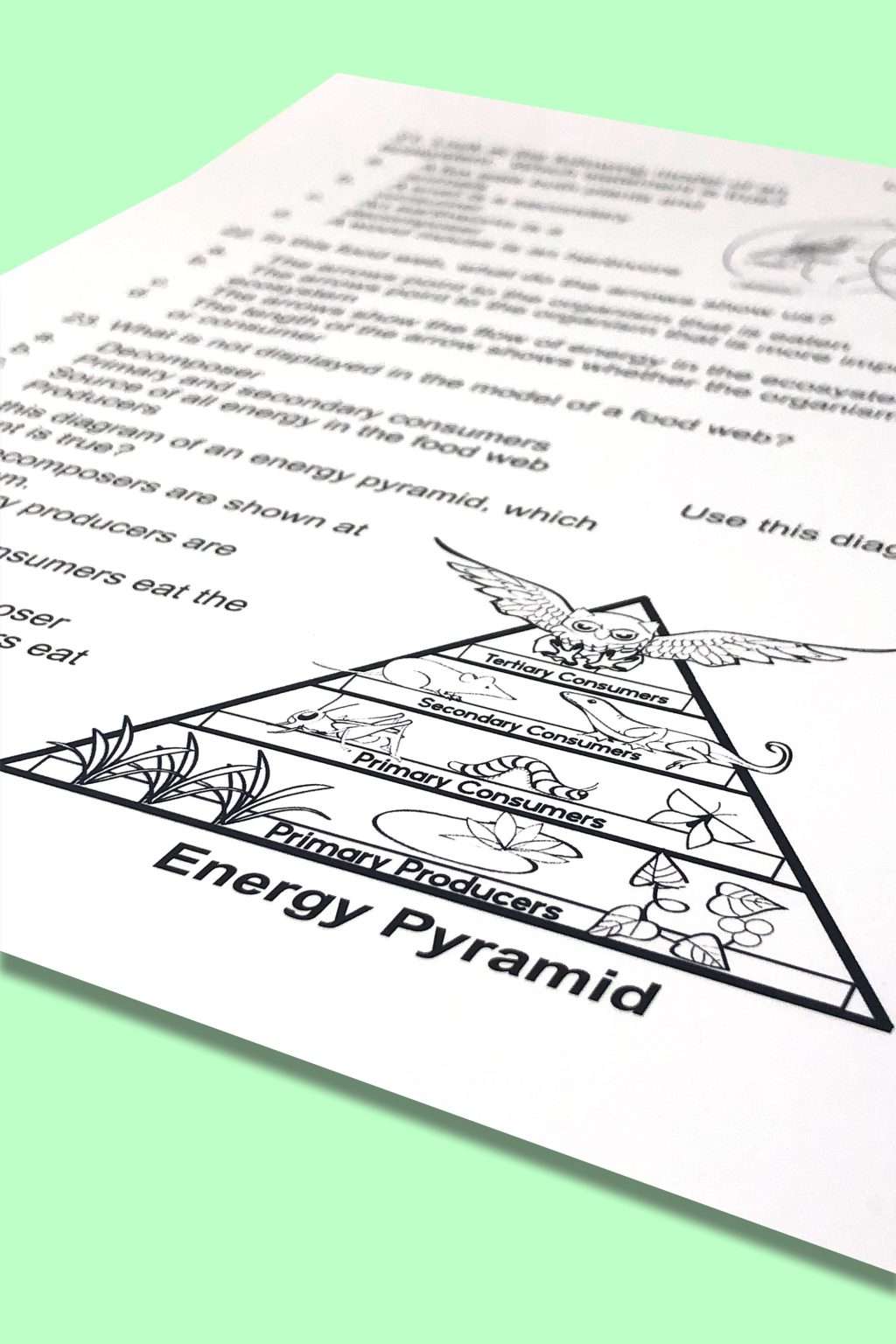 5th Grade Science Test Prep
