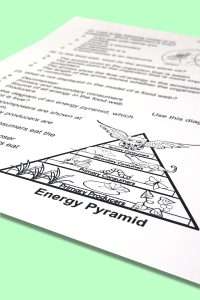 5th Grade Science Test Prep